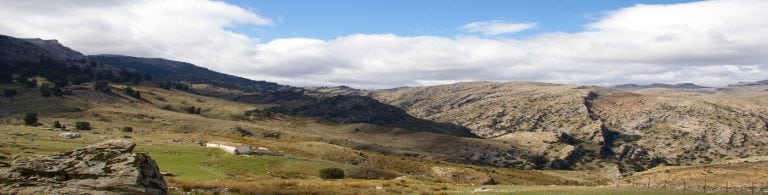 Looking for a Ronda Ibex? The Most affordable Ibex Hunting